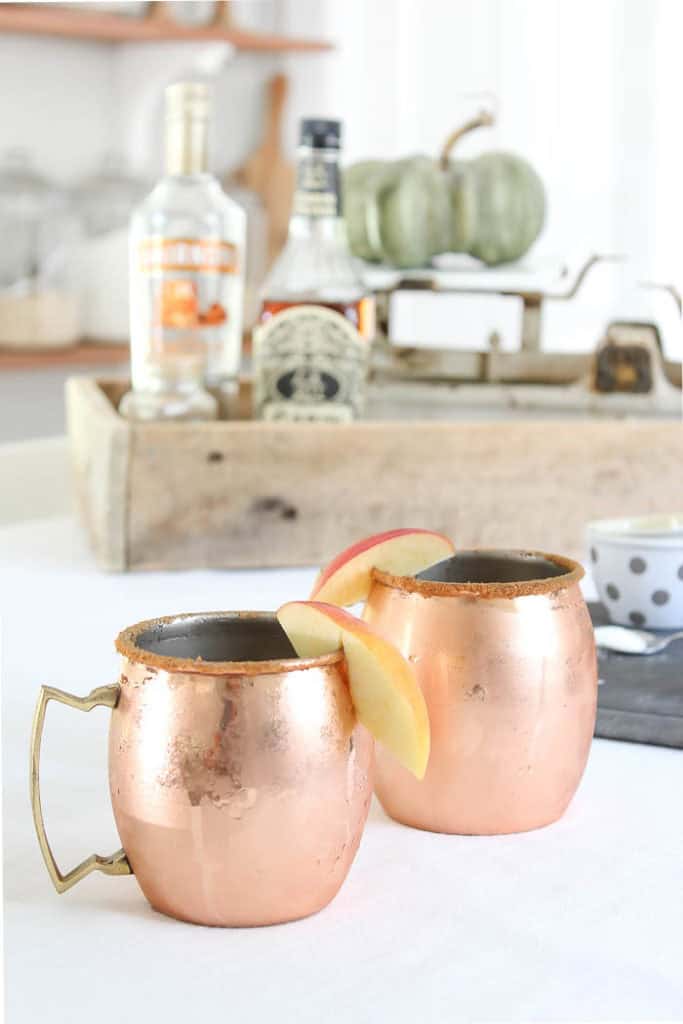 Fall Cider Cocktail Recipe - Rooms For Rent blog