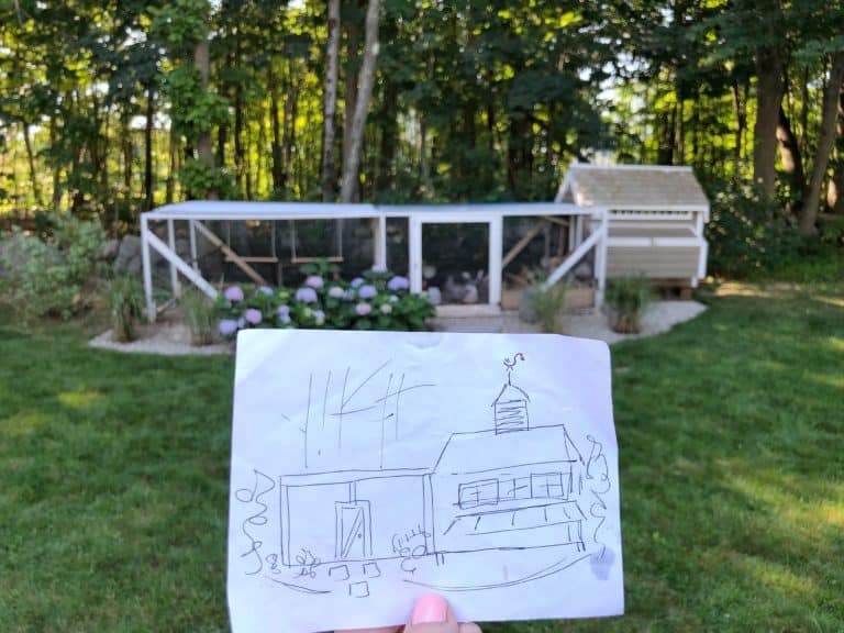 Our Chicken Coop - Rooms For Rent blog