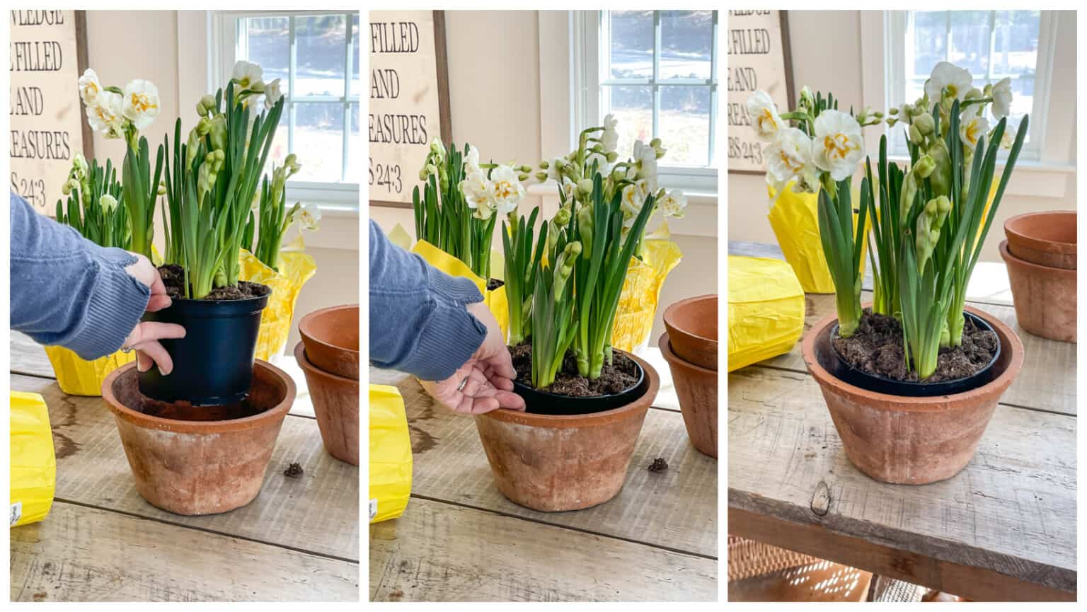 3 Spring Centerpiece Ideas - Rooms For Rent blog