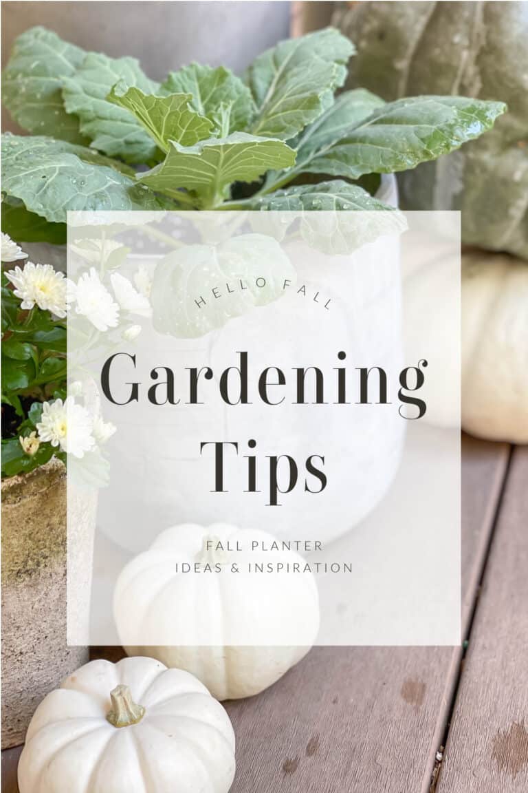 Fall Planter Ideas - Rooms For Rent blog