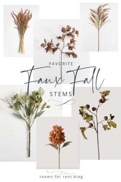 Favorite Fall Stems - Rooms For Rent blog