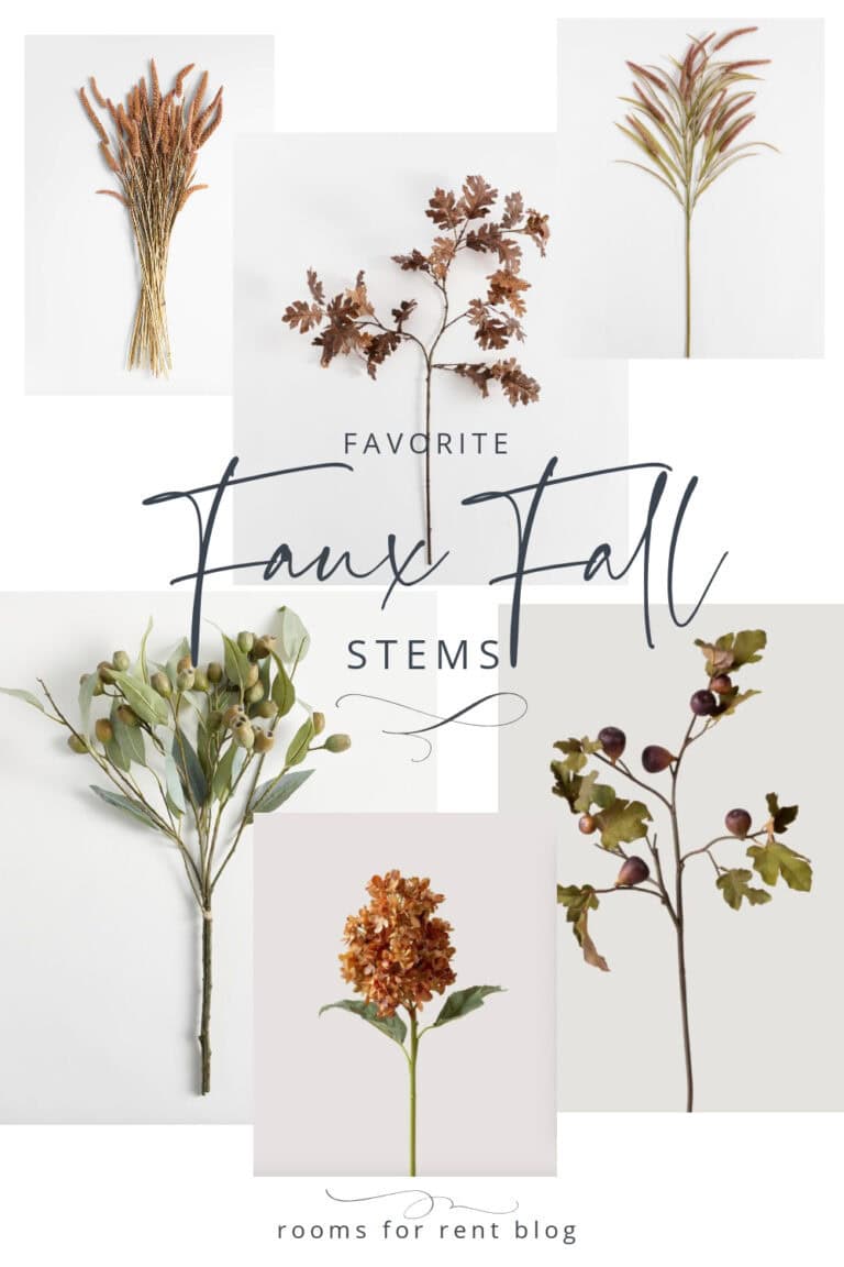 Favorite Fall Stems - Rooms For Rent blog